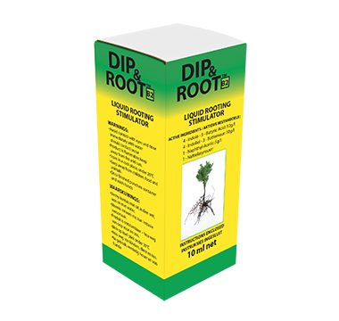 Makhroroot No.1 | Makhro