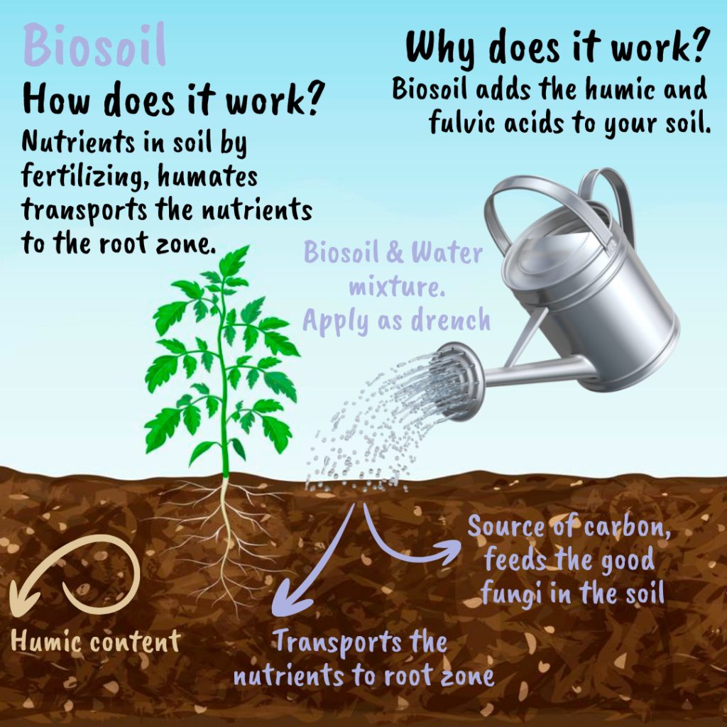 Biosoil explained… | Makhro