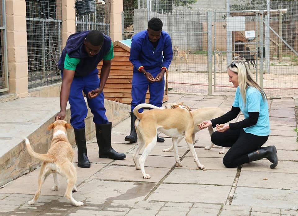 Animal Welfare Society Helderberg | Makhro
