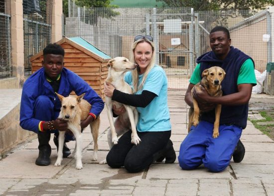 Animal Welfare Society Helderberg | Makhro