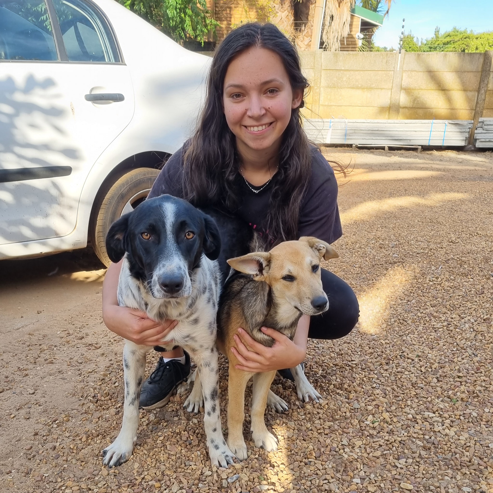 Bella’s Guardian Angels – Animal Rescue | Makhro